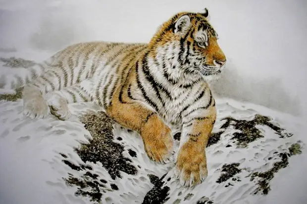 Dieren in de schilderijen van Tang Jiang (27 kunstwerken)