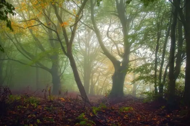 Awọn fọto lẹwa nipasẹ oluyaworan Czech Janek Sedlar