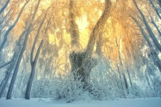 Fotografi të bukura nga fotografi çek Janek Sedlar