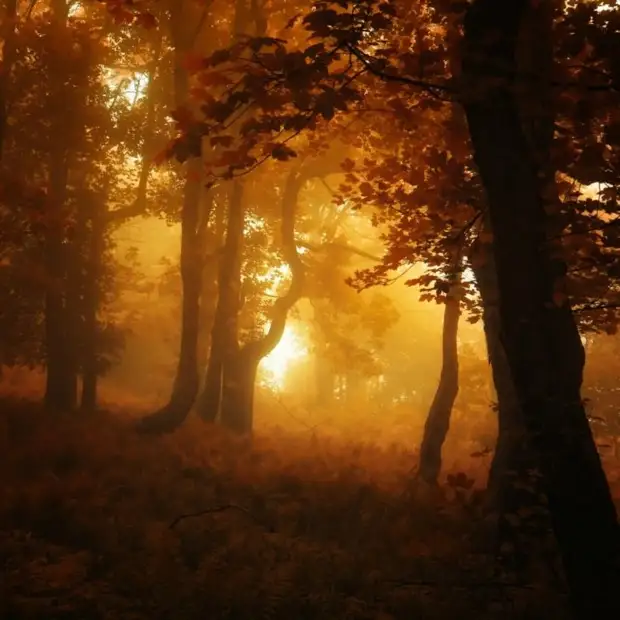 Fotografi të bukura nga fotografi çek Janek Sedlar