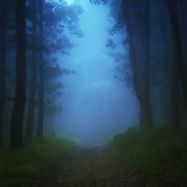 Fotografi të bukura nga fotografi çek Janek Sedlar