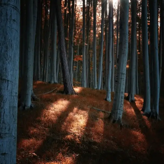 Awọn fọto lẹwa nipasẹ oluyaworan Czech Janek Sedlar