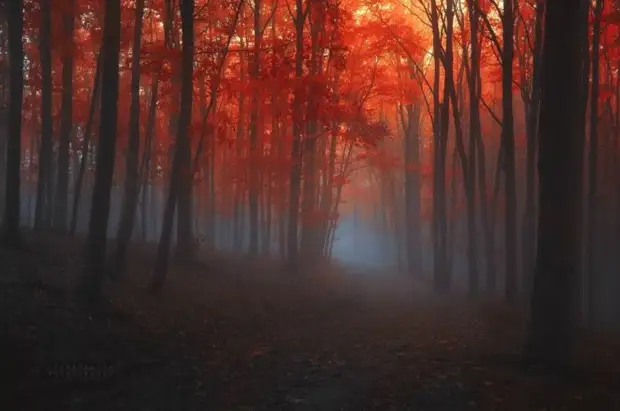 Fotografi të bukura nga fotografi çek Janek Sedlar