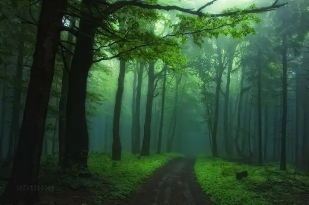 Fotografi të bukura nga fotografi çek Janek Sedlar