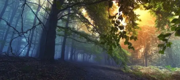 Fotografi të bukura nga fotografi çek Janek Sedlar