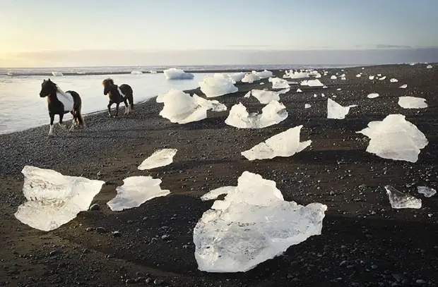 Impressionants fotos de cavalls de Tim Flack