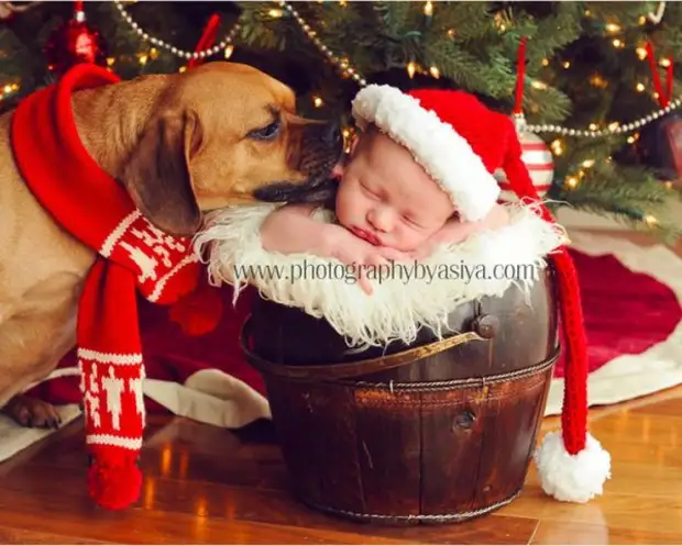 Enfants de Noël