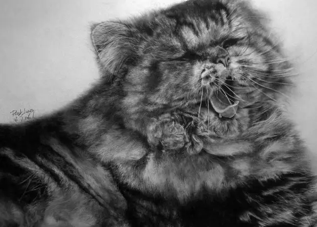 Hyperrealism, potlot sareng ucing ucing, seniman