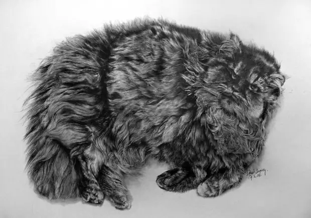 Hyperrealism, pencil and cats cats, artists