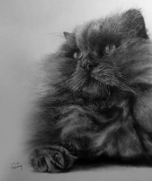 Hyperrealism, pencil and cats cats, artists