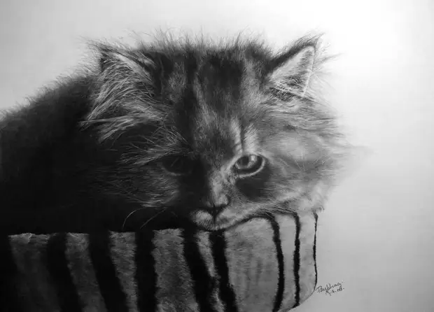 Hyperrealism, pencil and cats cats, artists