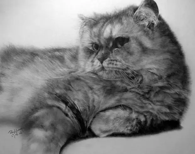 Hyperrealism, pencil and cats cats, artists