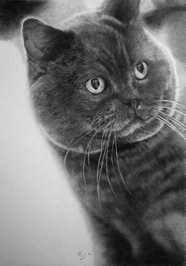 Hyperrealism, potlot sareng ucing ucing, seniman