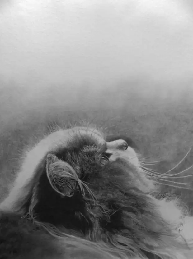 Hyperrealism, pencil and cats cats, artists