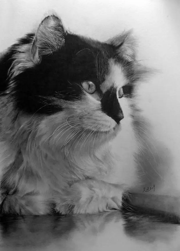 Hyperrealism, potlot sareng ucing ucing, seniman