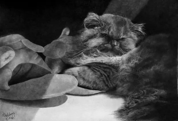 Hyperrealism, potlot sareng ucing ucing, seniman