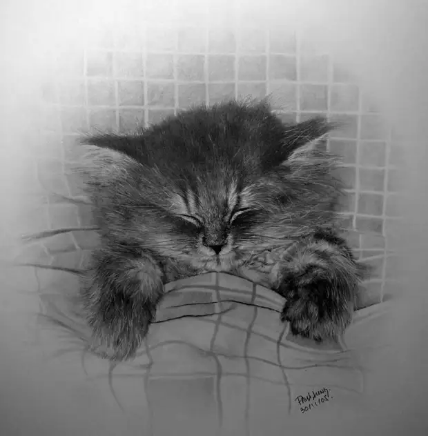 Hyperrealism, pencil and cats cats, artists