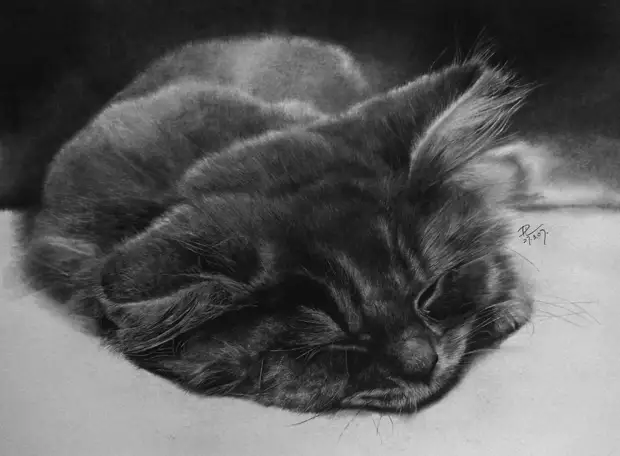 Hyperrealism, pencil and cats cats, artists