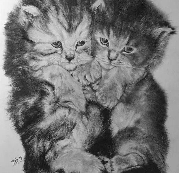 Hyperrealism, pencil and cats cats, artists