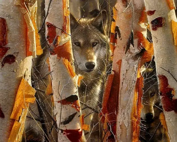 Prekrasne, stvarne i gotovo fotografske slike životinja američkog umjetnika Collina Boglea.