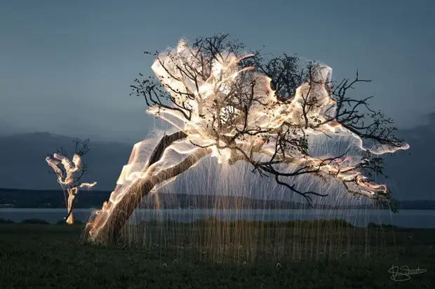 El fotògraf fa fotos increïbles, mostrant la llum que "aboca" dels arbres l'arbre, el fotògraf