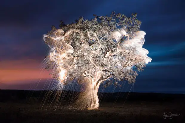 El fotògraf fa fotos increïbles, mostrant la llum que "aboca" dels arbres l'arbre, el fotògraf