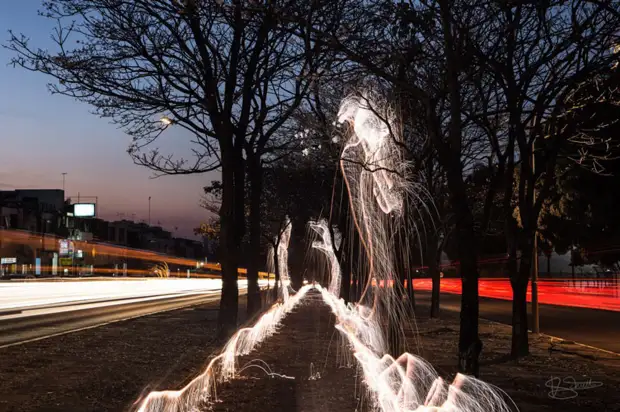 El fotògraf fa fotos increïbles, mostrant la llum que "aboca" dels arbres l'arbre, el fotògraf