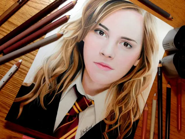 Desenhos realistas da artista Heather Rooney