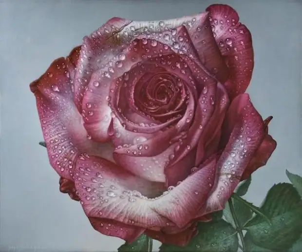 Rosas rosas hiper-realistas gigantes, fatos