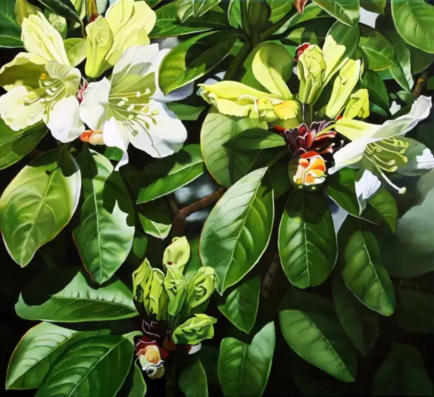 Kunstenaar Hilary Eddy. 'N Huis vol blomme.