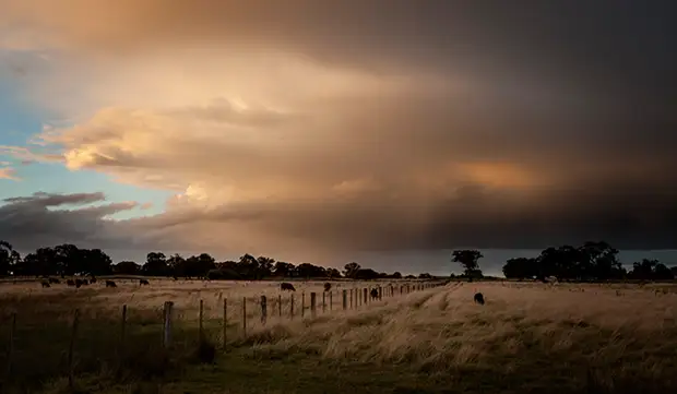 Paisagens de Nathan Kaso