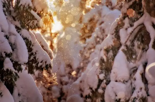 Isang Simpleng Daigdig ni Mikko Lagerstedt