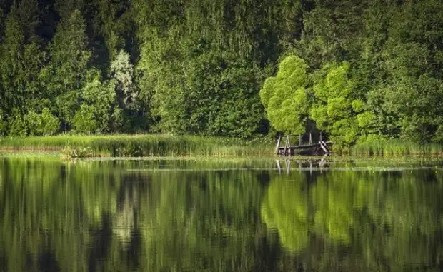 Dunya Sederhana ku Mikko Lagerstedt