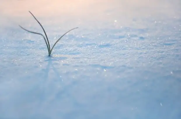 Een eenvoudige wereld door Mikko Lagerstedt