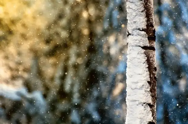 โลกที่เรียบง่าย โดย Mikko Lagerstedt