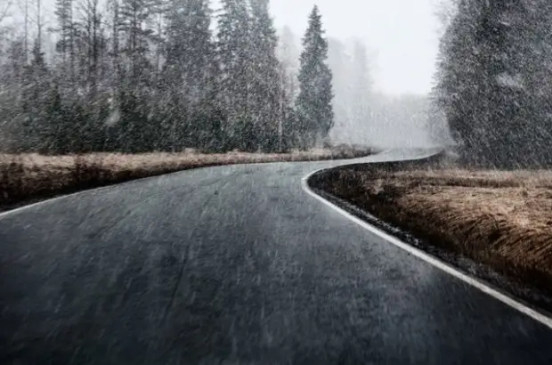 Paprastas pasaulis, autorius Mikko Lagerstedt