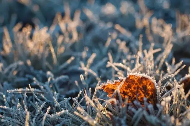 Een eenvoudige wereld door Mikko Lagerstedt