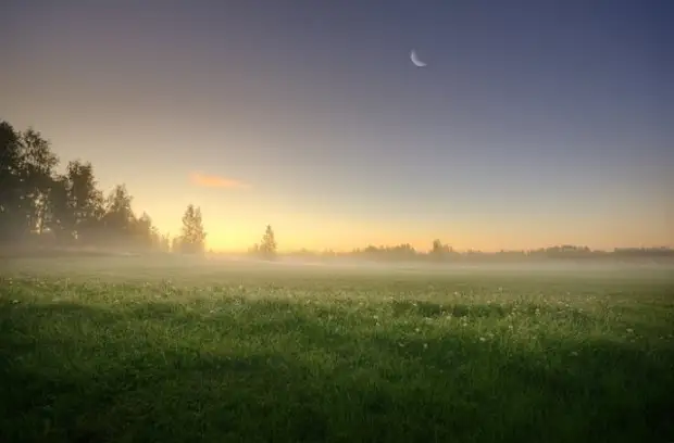 Lub Ntiaj Teb Yooj Yim los ntawm Mikko Lagerstedt