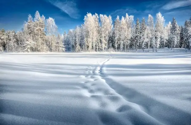 Mikko Lagerstedtiň ýönekeý dünýäsi