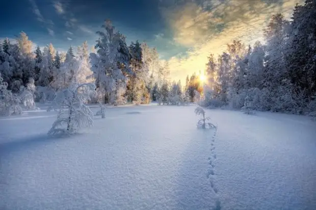 Mikko Lagerstedt ၏ရိုးရှင်းသောကမ္ဘာ