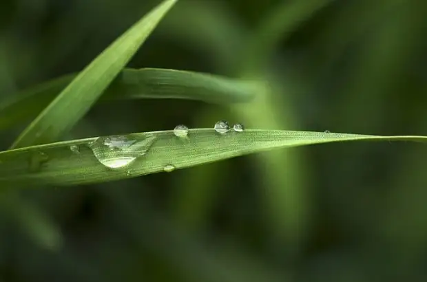 Mikko Lagerstedt ၏ရိုးရှင်းသောကမ္ဘာ