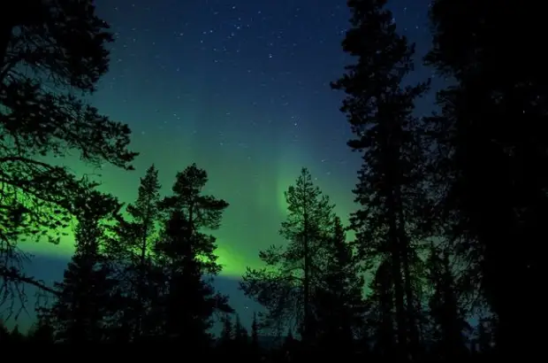 Mikko Lagerstedt의 단순한 세계