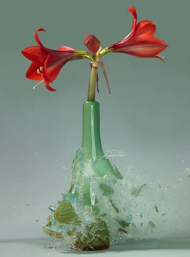 Explodierende Blumenvasen von Martin Klimas