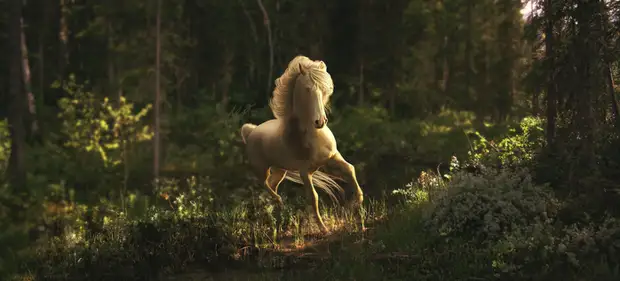 Fantastiske hester i verkene til Alimarije Zwaagstra