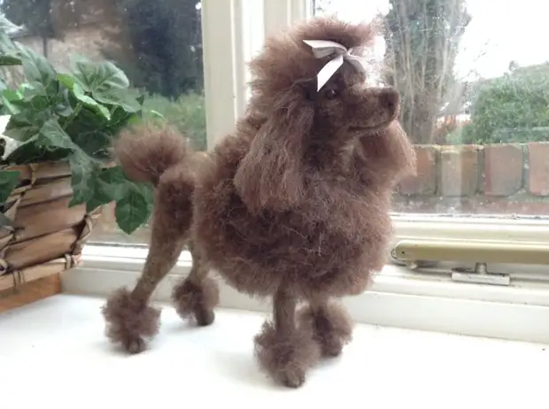 Poodle terasa, haiwan