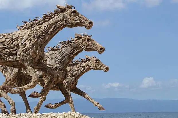 Dragons ezinamaphiko ezivela ezivamile driftwood izinkuni, driftwood