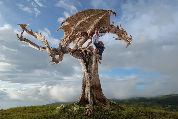 Krilati zmajevi od običnih zmajeva driftwood, driftwood