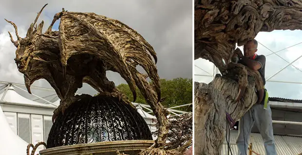 Naga bersayap saka naga driftwood sing umum, kayu bakar