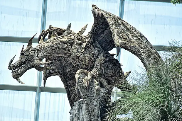 Dragons ezinamaphiko ezivela ezivamile driftwood izinkuni, driftwood