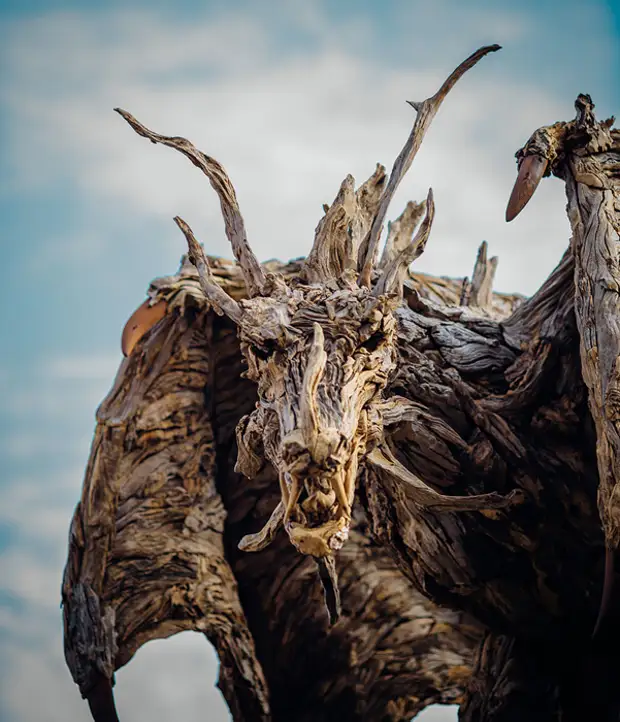 Dragons ailés de dragons communs en bois flotté, bois flotté